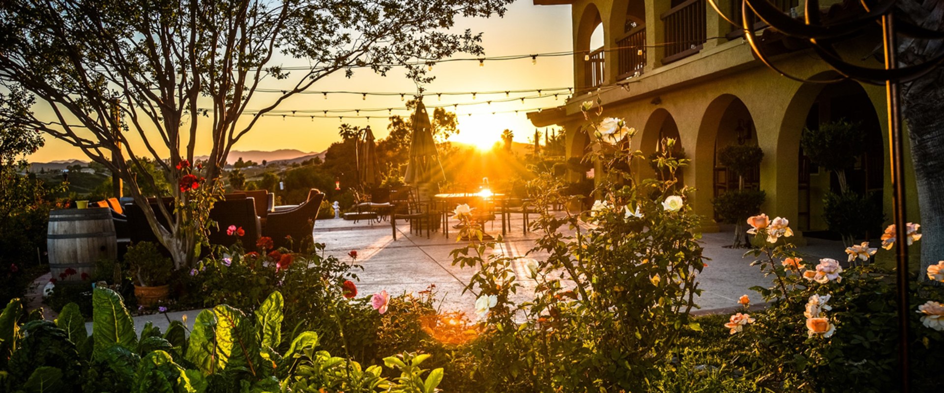 Is Temecula Worth Visiting? A Comprehensive Guide